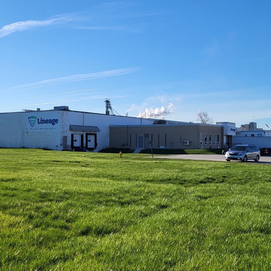 Lineage Spain | Woodstock - Parkinson, Ontario | Lineage Public ...